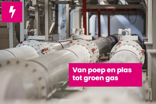Groen gas maken uit ontlasting voor vierduizend woningen - Zelf Energie ...